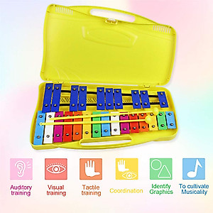 Mr.Power Colorful 25 Note G-G Chromatic Glockenspiel Xylophone Vibraphone in Case Percussion Instrument Suitable for Families and Beginner School Music Teaching