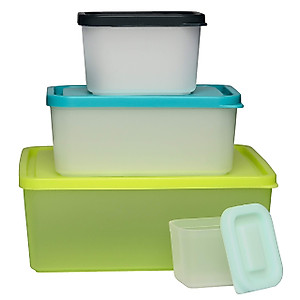Bentology Snack Buddies - Mini Bento Snack Lunch Box w 4 Portion Control Meal Containers and Lids - BPA, PVC Free, Food Safe – On-the-Go lunchbox - Lime