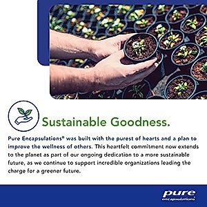 Pure Encapsulations CurcumaSorb Mind | Supplement to Support Memory, Sharpness, and Cognitive Function* | 60 Capsules