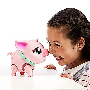 Little Live Pets - My Pet Pig: Piggly | Soft and Jiggly Interactive Toy Pig That Walks, Dances and Nuzzles. 20+ Sounds & Reactions. Batteries Included. for Kids Ages 4+