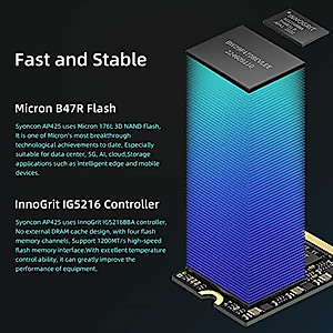 SYONCON SC930 M.2 2230 SSD NVMe PCIe Gen 3.0X4 Internal Solid State Drive Compatible with Steam Deck/Microsoft Surface pro 8/pro 7+/pro X/laptop3/laptop4/laptop go/book3 (256GB)