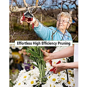 Pruning Garden Shears,Three Wood Plant Scissors for Gardening,Branch Cutter,Tree Trimmer,Bypass & Flower Pruners,Heavy Duty Hand Clippers Snips Secateurs