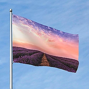 LAKIMCT Custom Flag 2x3 Single Sided Custom Image Flag, Make Your Own Flag Personalized Flag, Custom Flags and Banners Logo/Photo/Picture/Text, Custom Flags for Room Outside