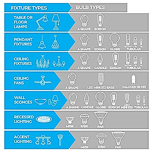 Bulbrite Incandescent T10 Medium Screw Base (E26) Light Bulb, 1 Count (Pack of 1), Clear