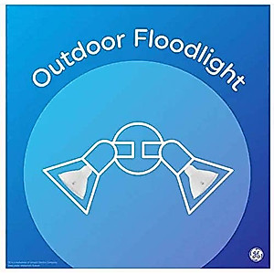 GE LED 90-Watt EQ LED Par38 Daylight Flood Light Bulb (12-Pack)