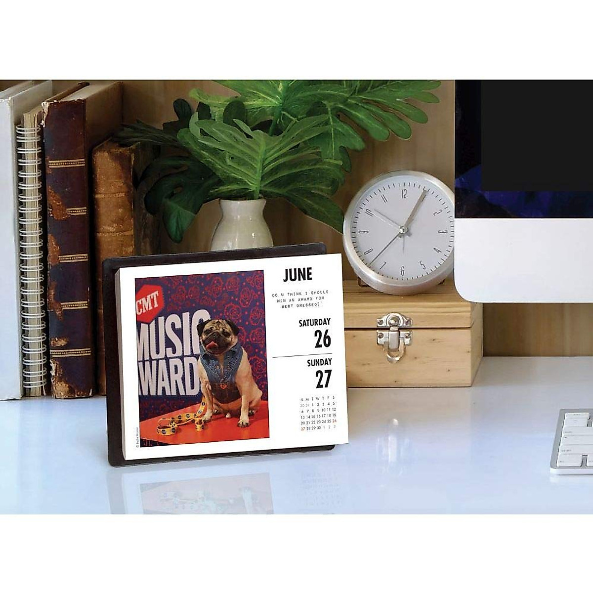 Doug the Pug 2021 Box Calendar (Dog Breed Calendar)