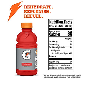 Gatorade Thirst Quencher Bottles Fruit punch, 12 Fl Oz (Pack of 24)