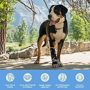 Balto Splint Carpal/Tarsal Brace- Hyperextension Dog Brace – Brace with Aluminum Splint – Supports Fractures and Sprains – Front Leg Support (Large)