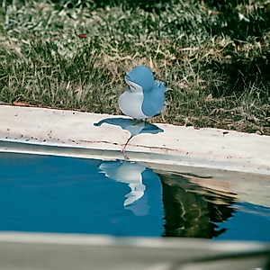 Cool Shark Rubber Ducks (2") Standard Size. (12 Pack) Cute Duck Bath Tub Pool Toys. (Shark Rubber Duckies)