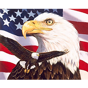 David Textiles American Patriotic Eagle Pride Red/Blue/Brown 35" Panel Premium Quality 100% Cotton Fabric by The Panel.