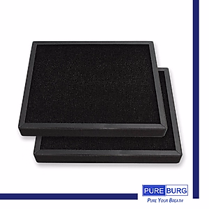 PUREBURG BS-10 True HEPA Replacement Filters Compatible with PARTU BS-10 Air Purifier,H13 3-Stage Filtration Activated carbon Air Clean Dust VOCs Odor, 2-Pack