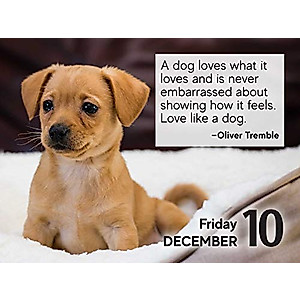 Puppies 2021 Mini Day-to-Day Calendar
