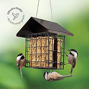 Suet Bird Feeder for Outside [Double Capacity] Suet Wild Bird Feeder with Hanging Metal Roof, Suet Feeders for Outside, for Use with Suet Cakes, Seed Cakes, Mealworm Cakes