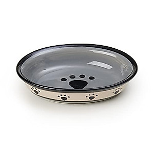 PetRageous 44247 Oval Metro Paws Stoneware Cat Bowl 6.25-Inch Wide and 1.5-Inch Tall Saucer with 1-Cup Capacity and Dishwasher and Microwave Safe for Small Dogs and Cats, Multicolored