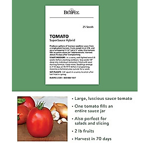 Burpee Exclusive 'SuperSauce' Hybrid 25 Non-GMO Large Red Sauce & Paste Tomato Variety | Vegetable Seeds for Planting Home Garden