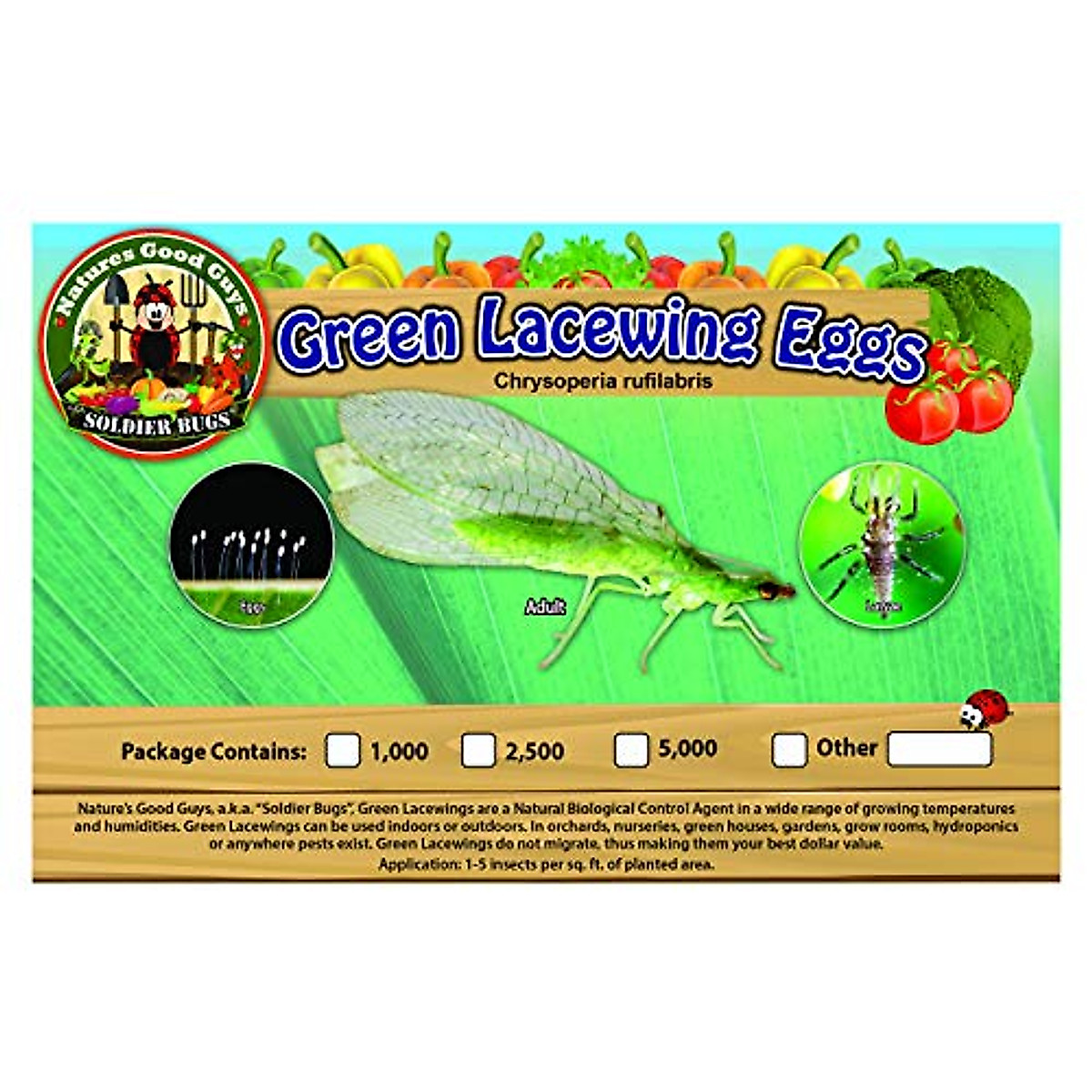Green Lacewing 2,500 Eggs - Good Bugs
