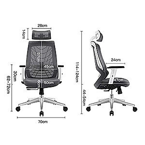 RILOOP Office Chair Chair Ergonomic, Computer Chair Adjustable Seat Height with Back Support and Arms, Desk Chair Comfy, Study Chair for Home, Office and Executive