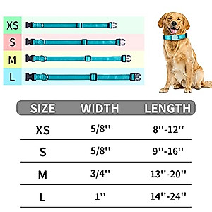 AirTag Dog Collar for Small Medium Large Dogs, Animire Soft Neoprene Padded Pet Cat Collar, Nylon Puppy Collar with Silicone Air Tag Case Holder Accessories, 9''-16'' Neck