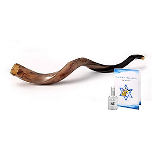 Yemenite Kudu Horn Shofar Shofars with Free Anti Odor Spray, guide Shofar from Israel (26"-28", Polish)