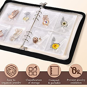 Transparent Jewelry Storage Book Album with Pockets, Portable Travel Jewelry Organizer Storage Book Zipper Bag for Rings, Necklace, Bracelets, Earrings Holder (80 Grids + 80 Anti-Oxidation PVC Bags)