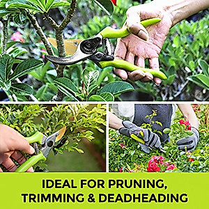 Mueller Heavy Duty Garden Shears, Hand Pruner, Bypass Shears, Durable Hardened Titanium Blades, 1.2" Cutting Diameter, Blade Lock, Ergonomic Grip