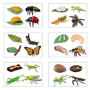 Odowalker 24PCS Life Cycle Figures,Insect Figurines Life Cycle of Monarch Butterfly,Honey Bee,Ladybug,Praying Mantis,Dragonfly,Grasshopper Safariology Bug Figures Kits Educational School Project