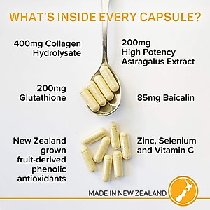 PURAZ Telomere Supplements w/Potent Astragalus Root Extract and Collagen | Superior Immune Support, Anti-Aging, DNA Repair | Pure Telomerase Enzyme for Telomere Lengthening and Support | 60 Capsules