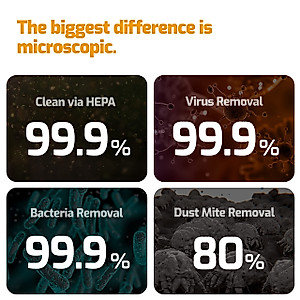 Raycop Lite Mattress Vacuum Cleaner - 13Kpa Powerful Suction - Anti-Allergen Bed Vacuum Cleaner - Bed Vacuum Cleaner UV Sanitizing & Pulsating Pad Technology for Allergen Cleaning - HEPA Filtration