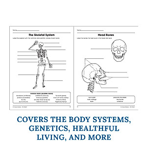 Carson Dellosa The 100+ Series: Human Body Workbook―Grades 5-8 Science Book, Human Anatomy, Bones, Muscles, Organs, the Nervous System, Health and Nutrition (128 pgs) (Volume 13)
