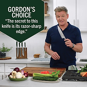 HexClad 10 Piece Knife Set - 4 piece Steak Knives and 6 Piece Essential Knife Set, Fine Edge, Non-Serrated, 60 Rockwell Rating, Forest Green Pakkawood Handles