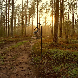 OSALADI Solar Watering Can Lights Outdoor Firefly Bunch Lights Waterfall Fairy Lights Garden Art Lamp with Stake for Home Garden Yard Lawn