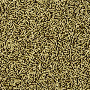 Kaytee Timothy Complete Pet Chinchilla Food, 3 Pound