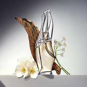 Donna Karan Cashmere Mist Aluminum Free Deodorant Stick For Women, New Formula, 1.7 Oz.