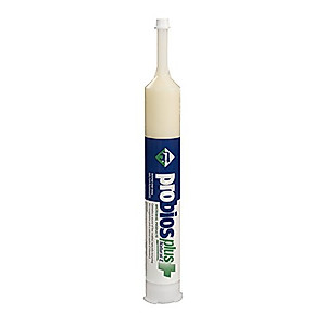 Probios Bovine One Oral Gel for Ruminants Plus Natural-E Tube, 300cc