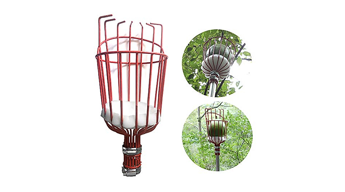 FLY HAWK 8-Foot Fruit Picker Tool – Lightweight & Durable