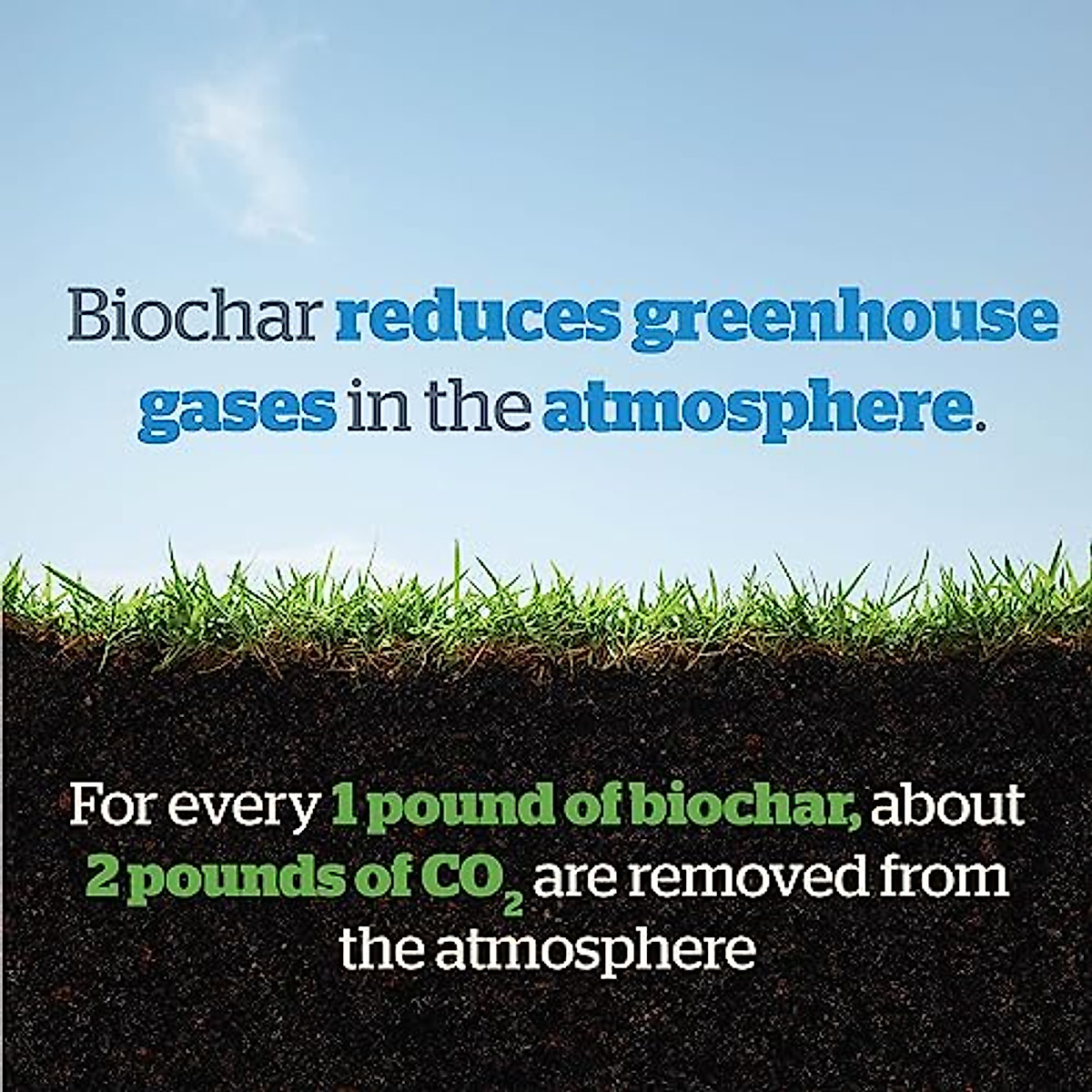 Wakefield BioChar – Premium Garden Soil Conditioner – OMRI Listed, Bio Char for Raised Gardens, Potting Mix, Lawns – 1 cu/ft (25 pounds)