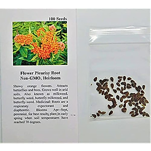 David's Garden Seeds Flower Asclepias Pleurisy Root 2233 (Orange) 100 Non-GMO, Heirloom Seeds