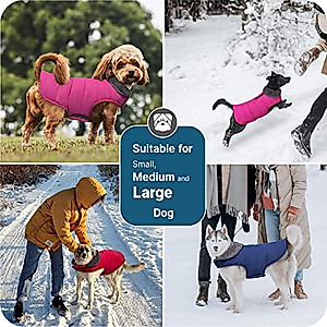 TEOZZO Dog Winter Coats - Waterproof Dog Snow Jackets Windproof Fleece Lined Dog Apparel Vest with Leash Hole Dog Cold Weather Coats for Large Dogs Navy X-Large