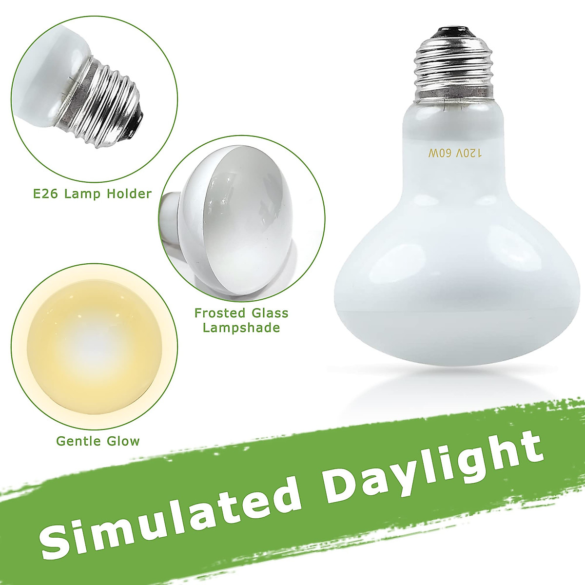 HARTOMPET 60W E26 Reptile Heat Lamp Bulbs, UVA Basking Spot Light for Bearded Dragon, Lizard, Tortoise, Chicks, Other Reptiles & Amphibians - Simulated Natural Sunlight Terrarium Heat Lamps | 2 Pack