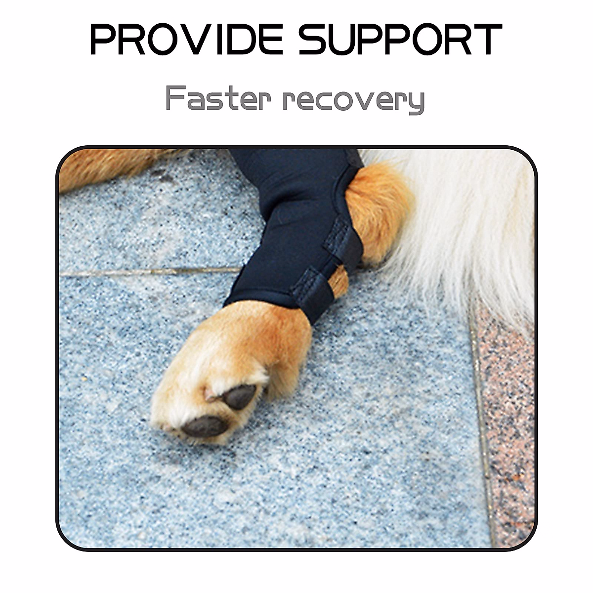 Dog Leg Brace for Small or Short Legs Canine Rear Hock Support, Helps Promote Healing and Prevents Injuries and Sprains Helps with Loss of Stability Caused by Arthritis