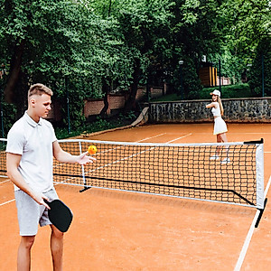 ZENY Portable Pickleball Net Set System with Metal Frame and 22FT Regulation Size Pickball Net with Carry Bag for Backyard, Driveways, Outdoor Game