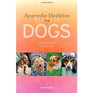 Ayurvedic Medicine for Dogs