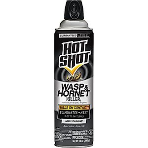 Hot Shot Wasp & Hornet Killer Spray, For Insects Eliminates The Nest, Sprays Up Tp 27 Feet, 14 fl Ounce