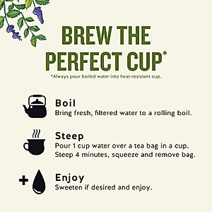 Celestial Seasonings Herbal Tea, Sleepytime, 40 Count (Pack of 6)