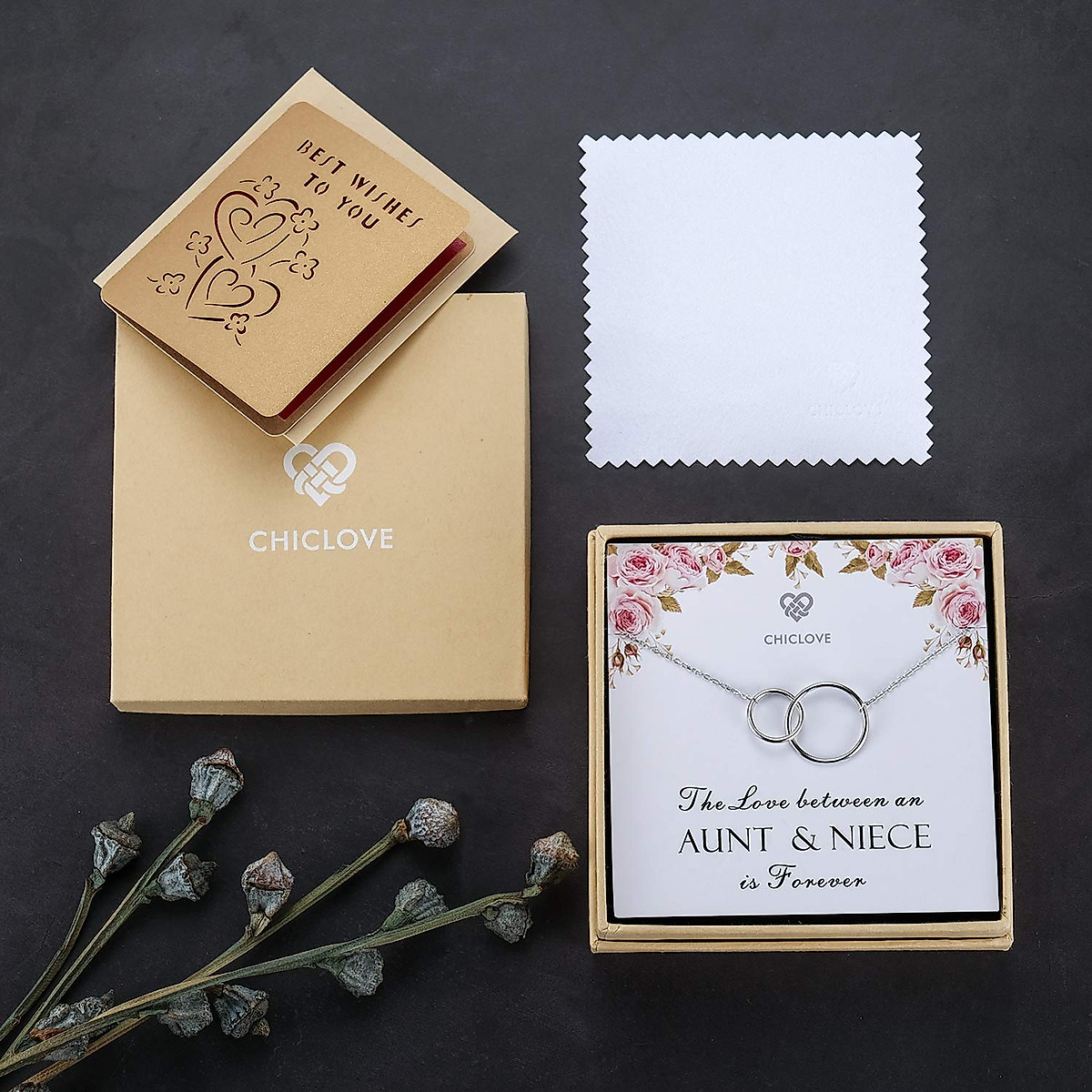 CHICLOVE Aunt and Niece Gift The Love Between Aunt & Niece is Forever Sterling Silver Necklace Aunt Niece Jewelry (aunt gifts from niece)