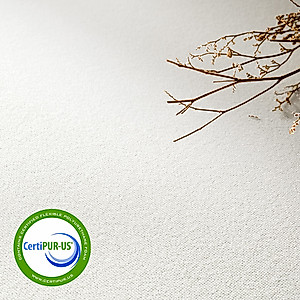 Best Price Mattress Queen Mattress 6 inch Bed-In-A-Box, Green Tea Memory Foam, Cream