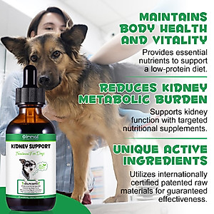 Liver Support for Dogs, Liver and Kidney Support for Dogs with Natural Herbal Extract Helps Balance Dogs Liver & Kidneys Health, Pet Supplement - Liver Support Drops to Improve Dog Energy - 2 fl.oz
