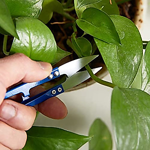 4 Inch Bonsai Pruning Scissors, Bud And Leaves Trimmer Yarn Thread Cutter Snips Trimming Supplies, Gardening Clippers Flower, thread snips, U-shaped sewing scissors, Sewing Scissors (3 Pcs)