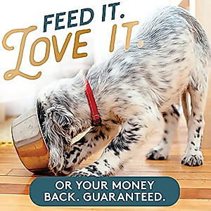 The Missing Link Pet Kelp Canine Probiotic 8oz Superfood Powdered Supplement, Organic & Limited Ingredient Formula for Digestive Health of Dogs