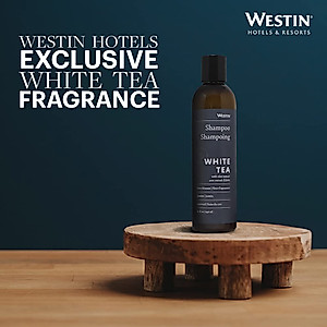 Westin White Tea Aloe Shampoo - Vitamin and Antioxidant-Packed Shampoo for All Hair Types - Signature White Tea Aloe Scent - 8 ounces